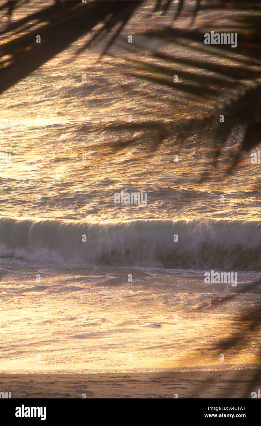 Key west sunset art hi-res stock photography and images - Alamy