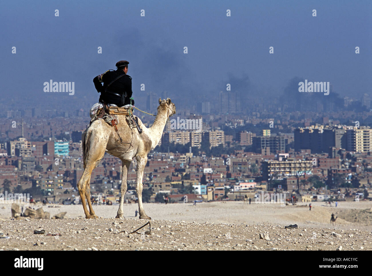 Policeman on a camel watching smoking Cairo Egypt Stock Photo - Alamy