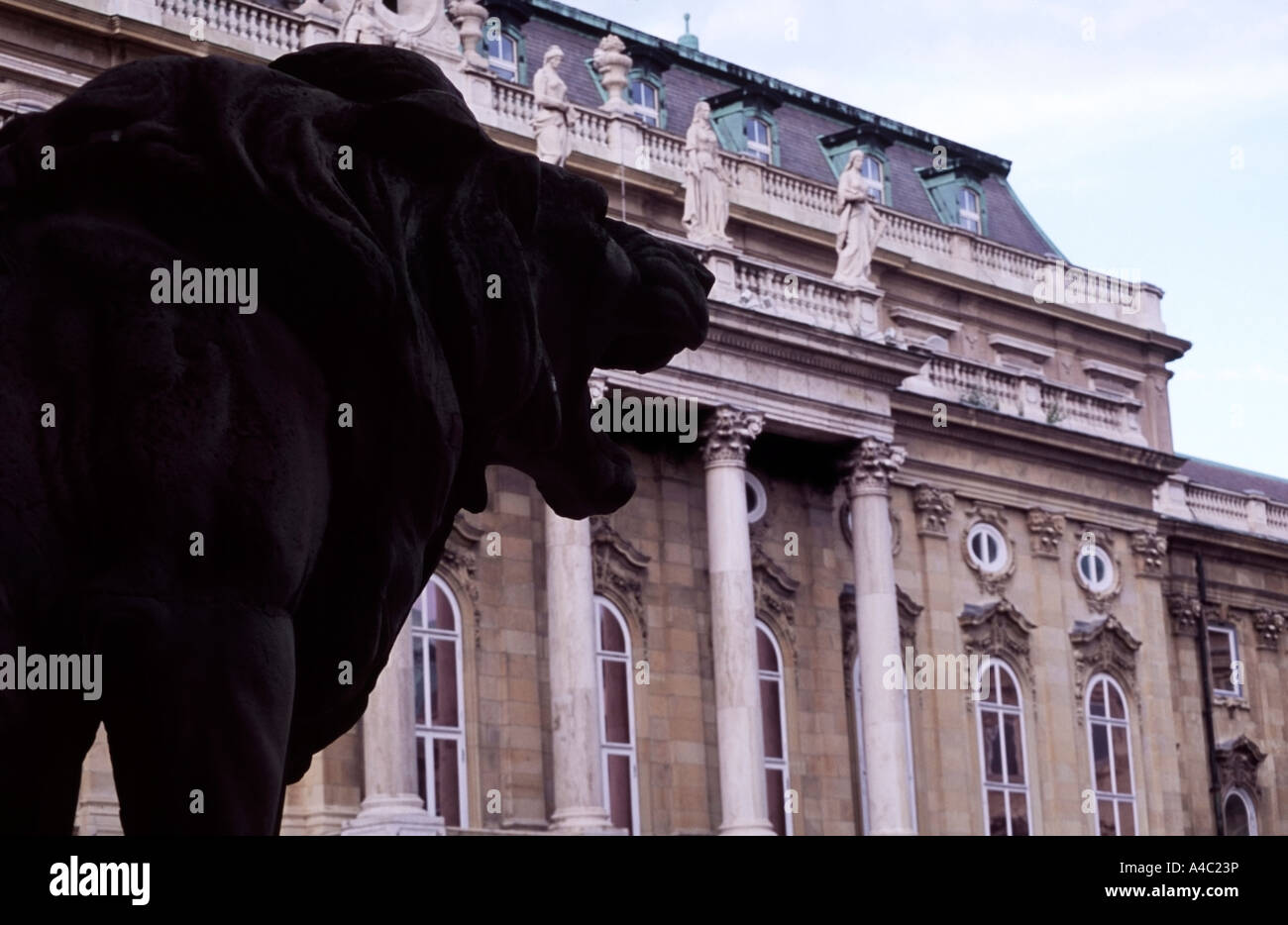Statue of Lion Buda Castle Royal Palace Budapest Hungary Stock Photo ...