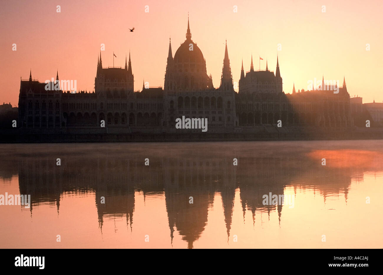 Early morning hungarian parliament hi-res stock photography and images ...