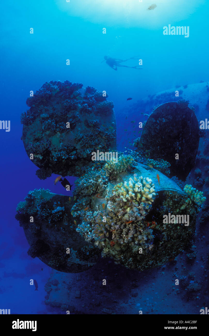 SHIP S PROPELLER ON WRECKAGE IN THE RED SEA Stock Photo - Alamy