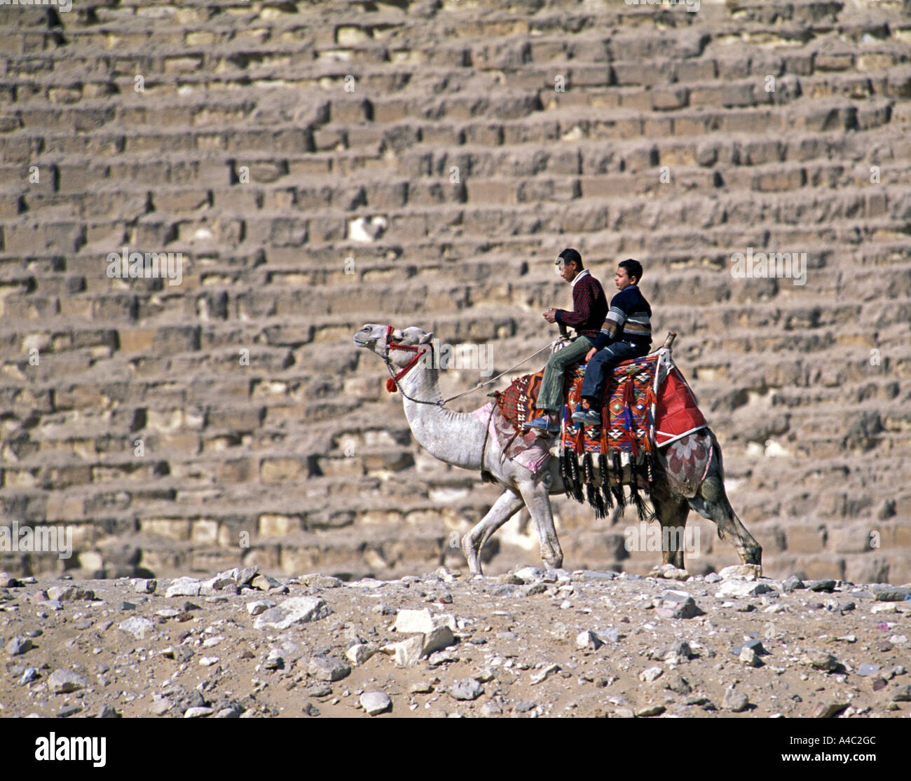 Camel riders with the pyramid of Khufu behind Giza Egypt Stock Photo ...