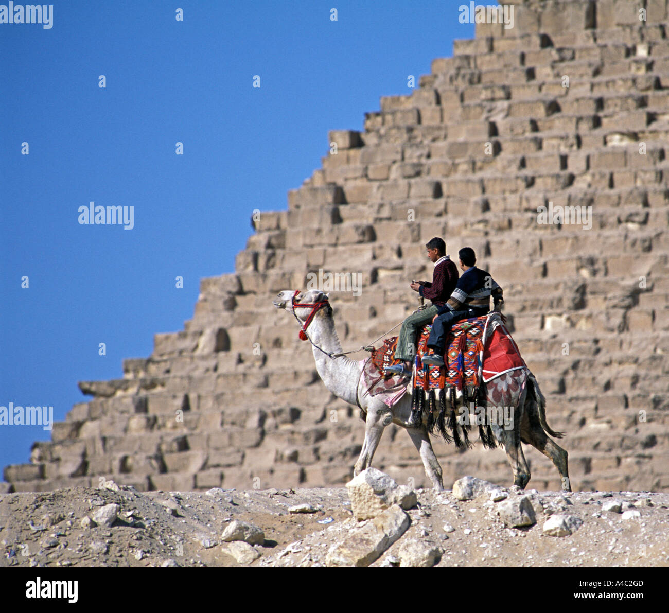 Camel riders with the pyramid of Khufu behind Giza Egypt Stock Photo ...
