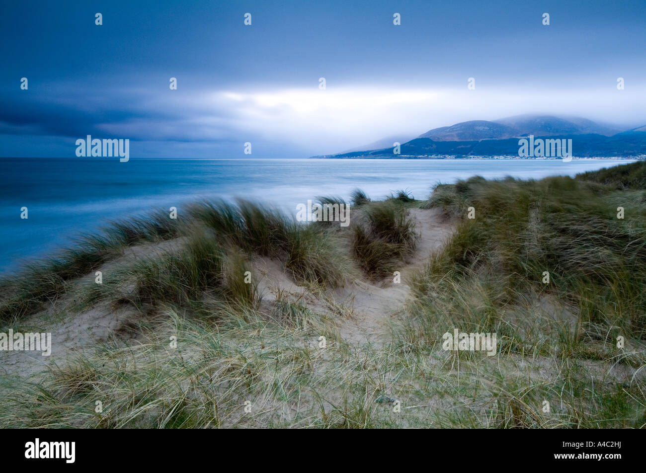 Sand dunes and beach, Murlough Reserve, County Down, Northern Ireland ...