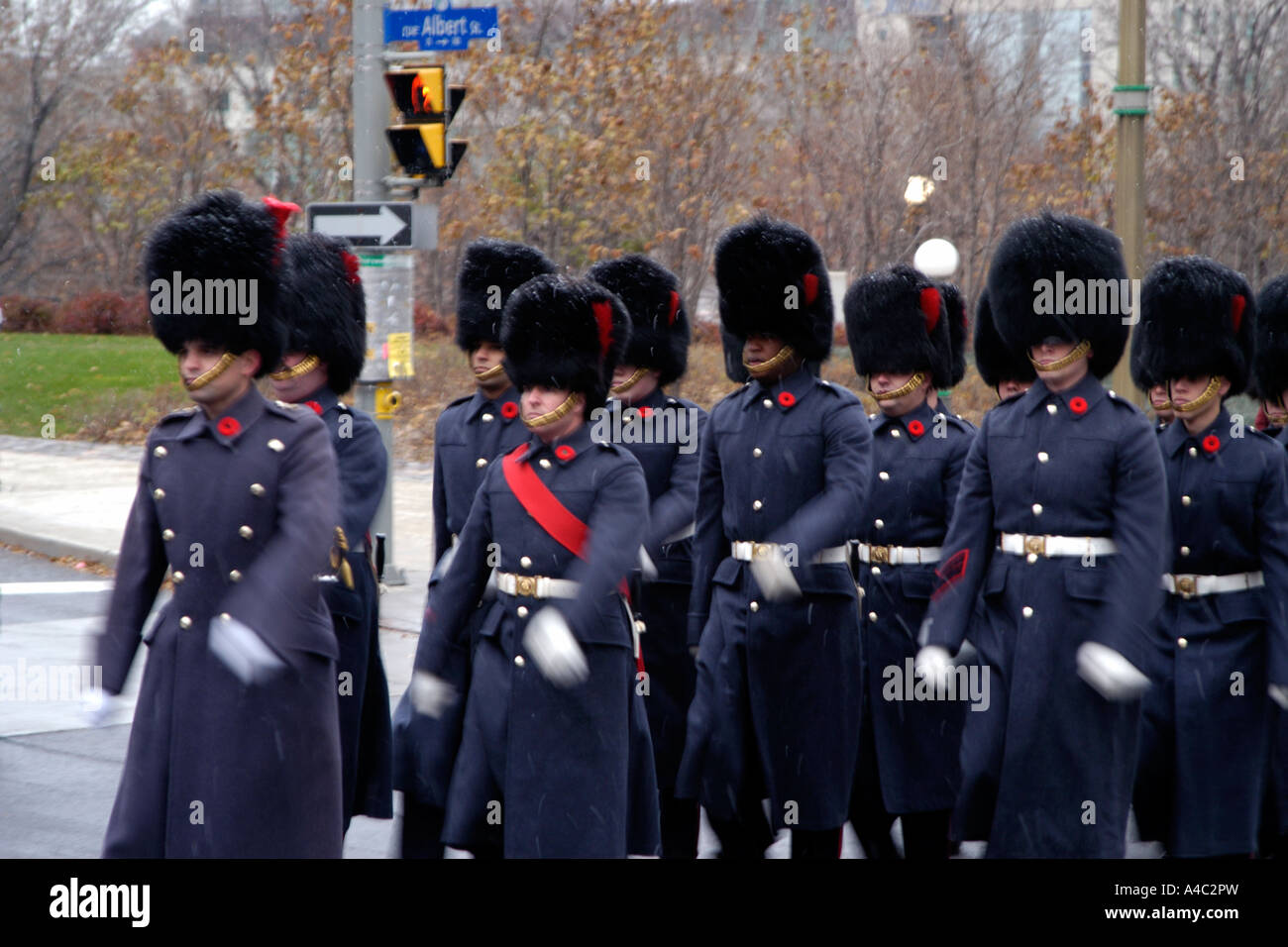 Remembrance day parade hi-res stock photography and images - Alamy