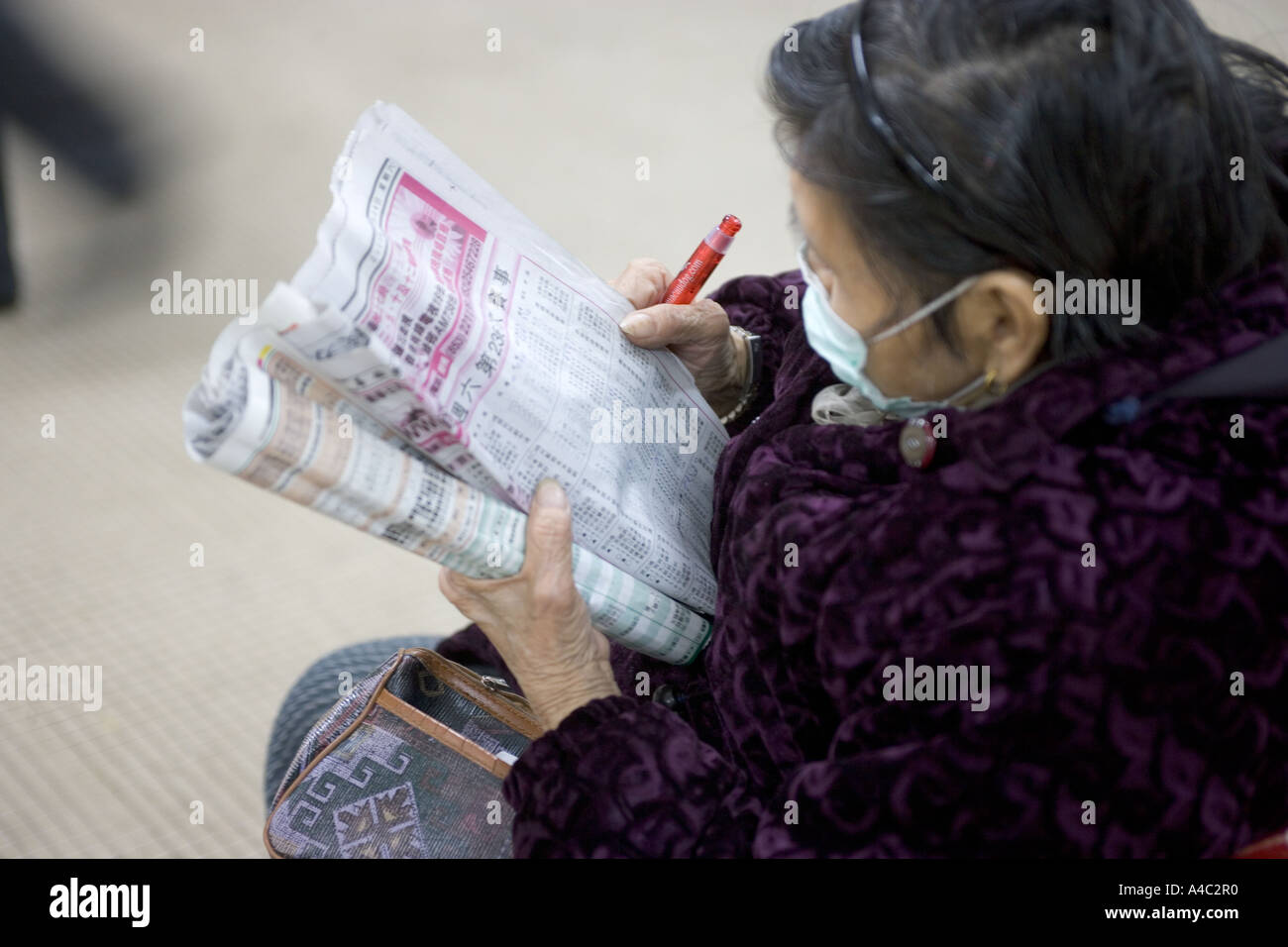 Canidrome Greyhound Racing Stadium Macau Stock Photo - Alamy