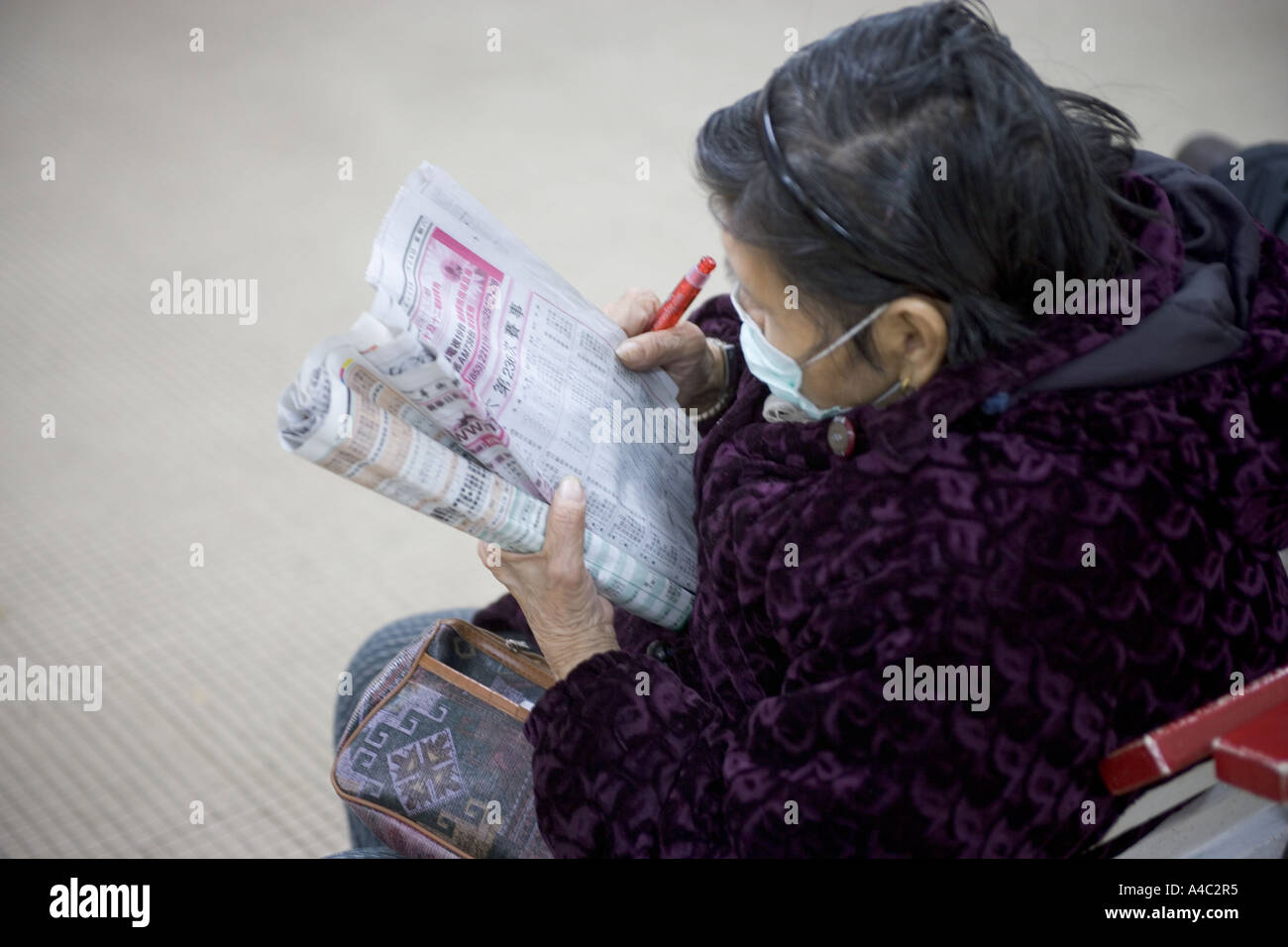 Canidrome Greyhound Racing Stadium Macau Stock Photo - Alamy
