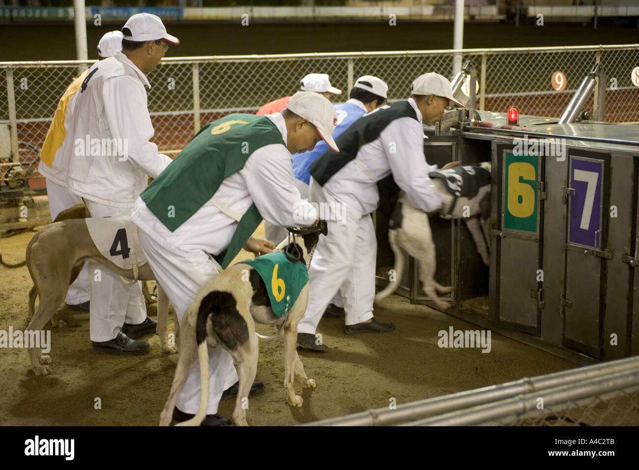 Greyhound Racing Stadium Canidrome Macau Stock Photo - Alamy