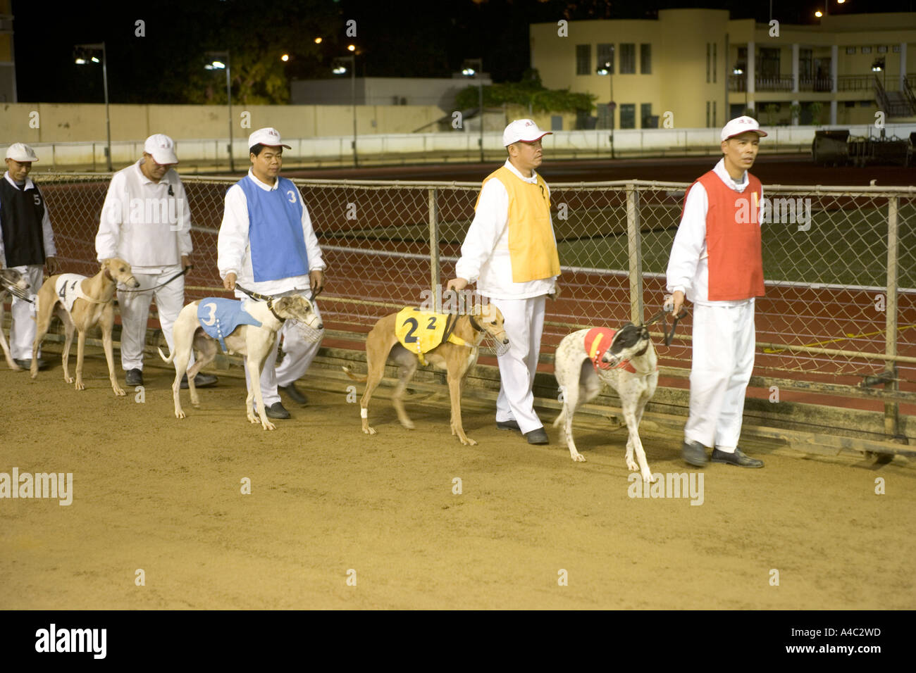 Greyhound Racing Stadium Canidrome Macau Stock Photo - Alamy