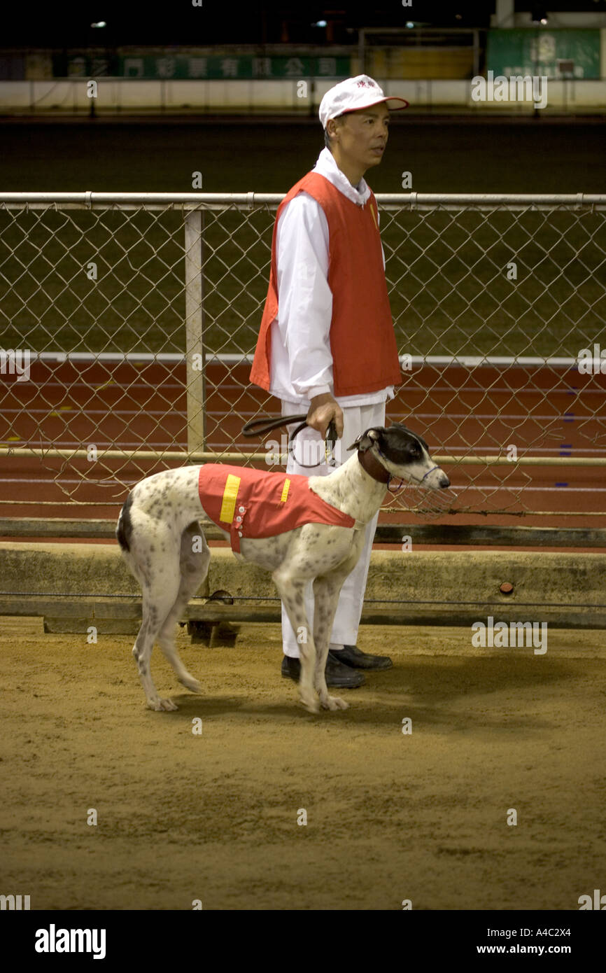 Greyhound Racing Stadium Canidrome Macau Stock Photo - Alamy