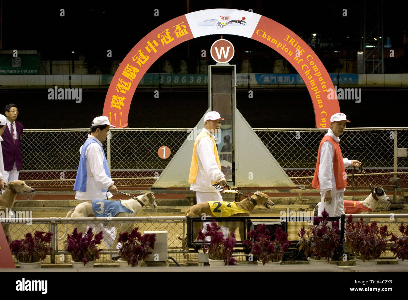Greyhound Racing Stadium Canidrome Macau Stock Photo - Alamy