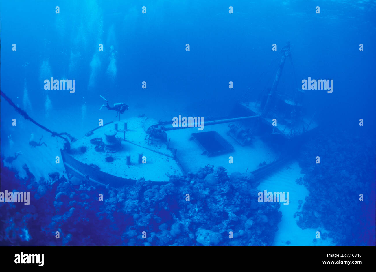 SCUBA DIVERS ON THE HERMES WRECK BERMUDA Stock Photo - Alamy