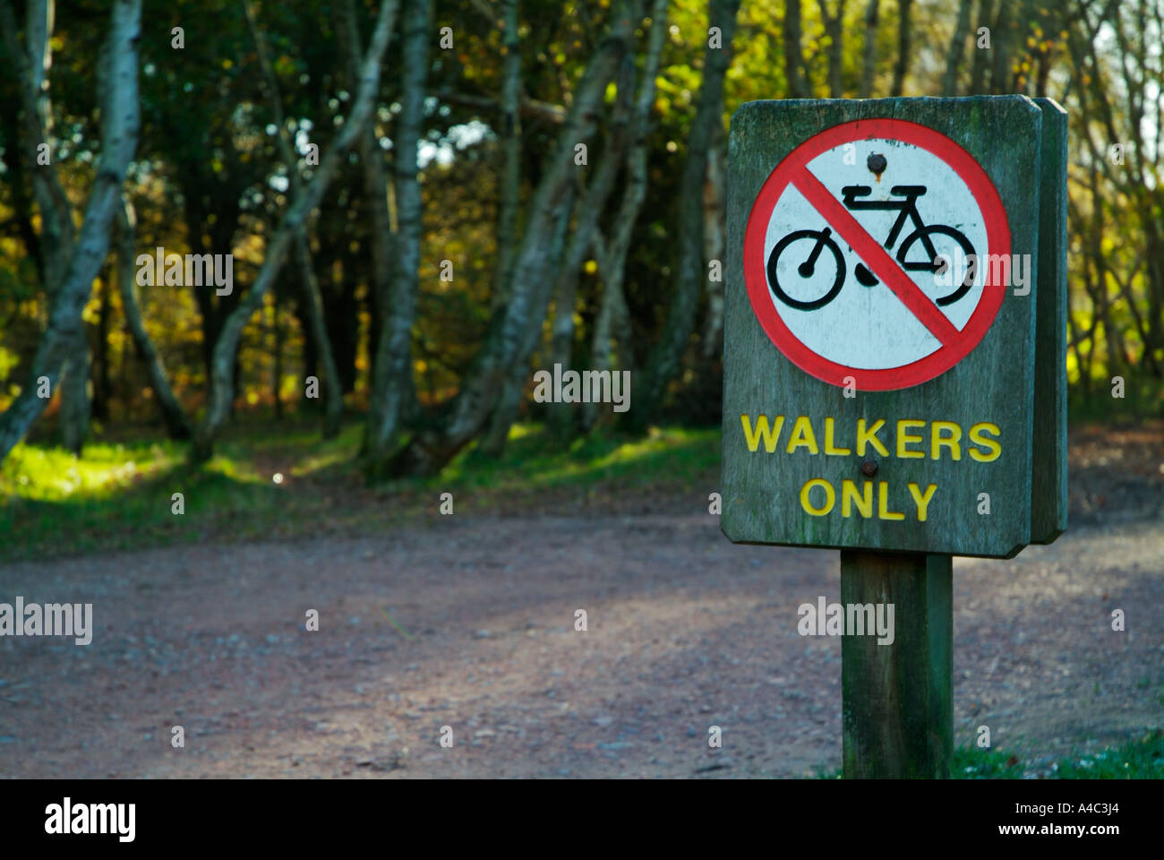 Walker only sign no cyclists Sherwood forest visitors centre ...