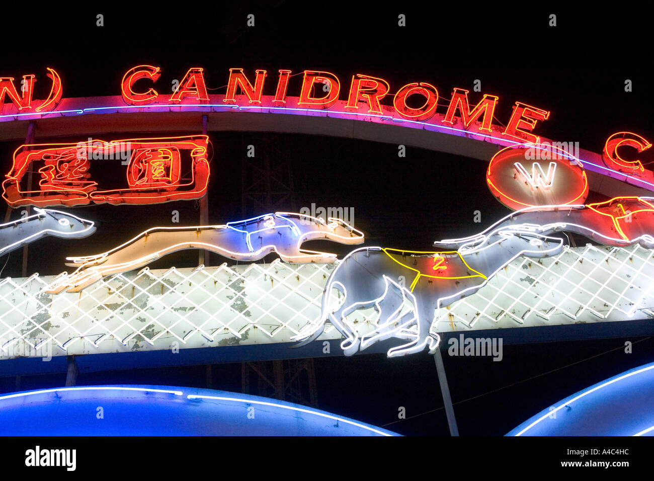 Canidrome Greyhound Racing Stadium Macau Stock Photo - Alamy