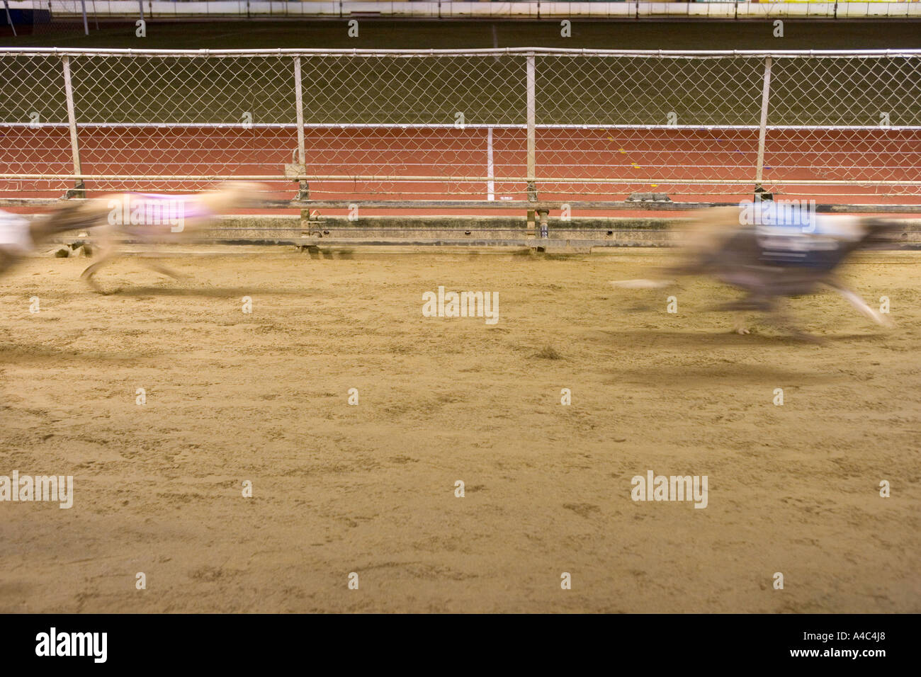 Canidrome Greyhound Racing Stadium Macau Stock Photo - Alamy