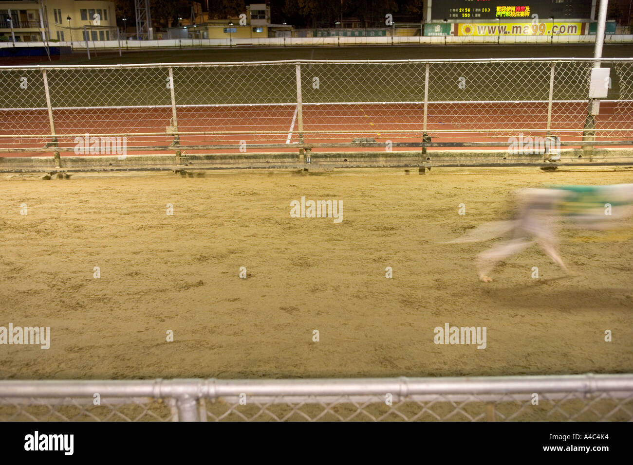 Canidrome Greyhound Racing Stadium Macau Stock Photo - Alamy