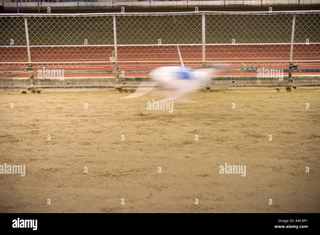 Canidrome Greyhound Racing Stadium Macau Stock Photo - Alamy