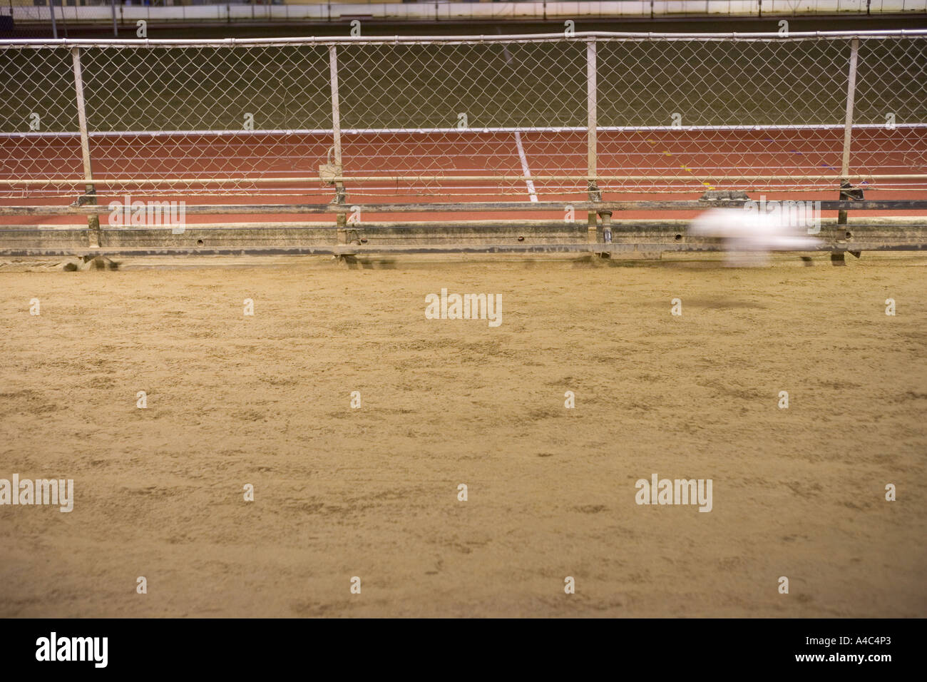 Canidrome Greyhound Racing Stadium Macau Stock Photo - Alamy