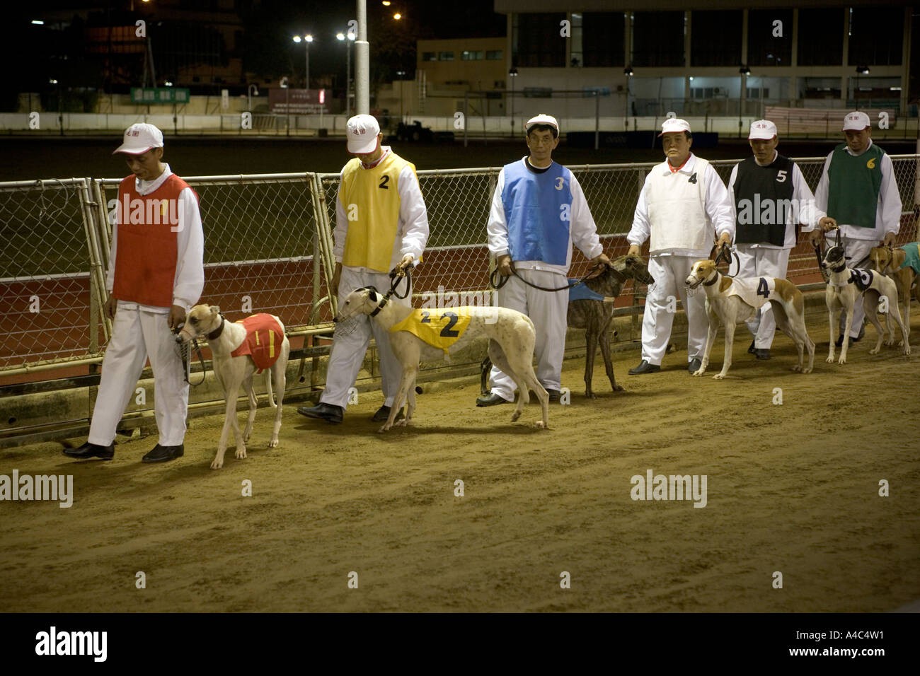 Canidrome Greyhound Racing Stadium Macau Stock Photo - Alamy
