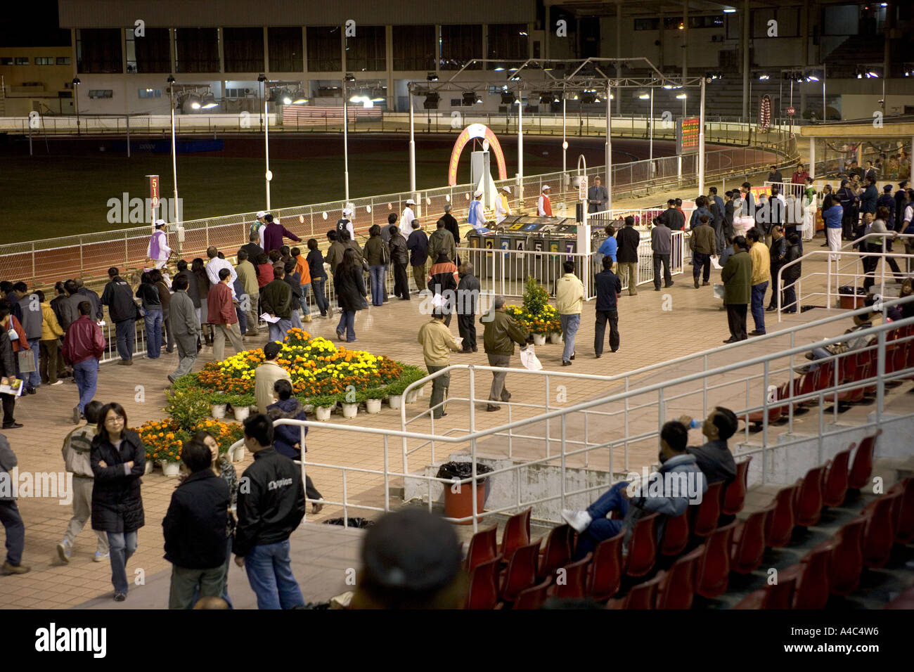 Canidrome Greyhound Racing Stadium Macau Stock Photo - Alamy