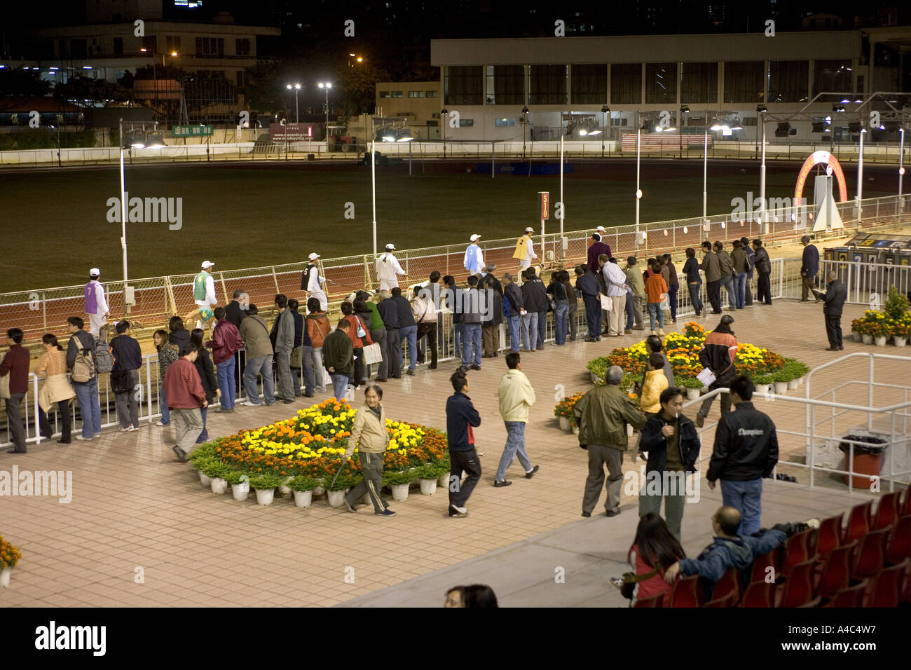 Canidrome Greyhound Racing Stadium Macau Stock Photo - Alamy