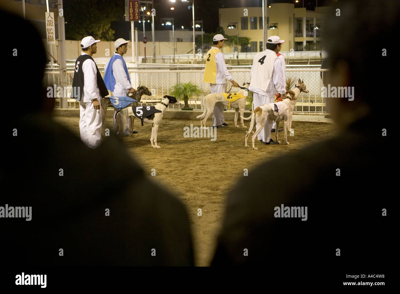 Canidrome Greyhound Racing Stadium Macau Stock Photo - Alamy