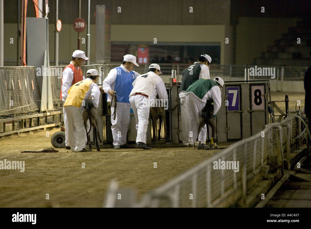 Canidrome Greyhound Racing Stadium Macau Stock Photo - Alamy