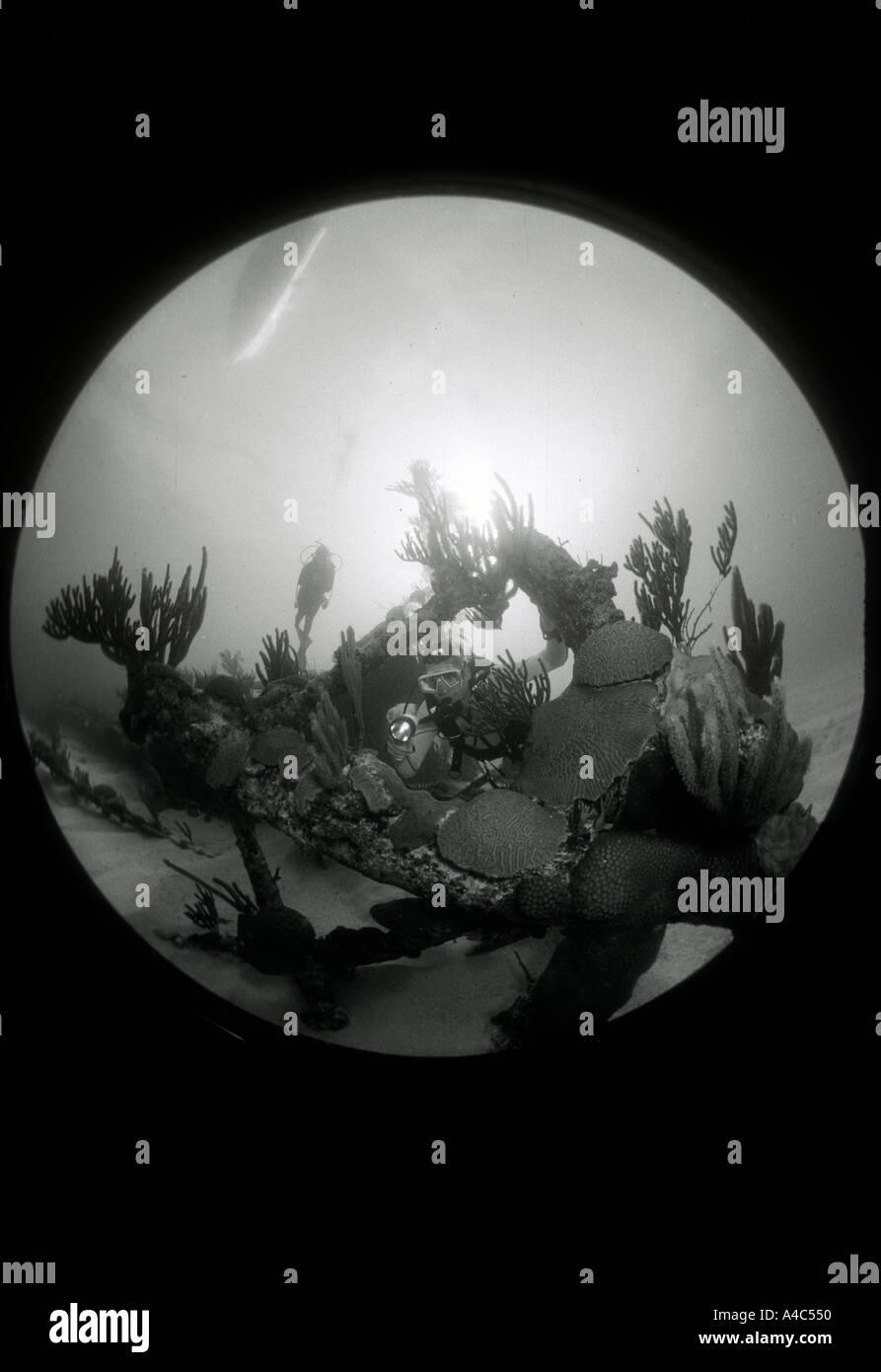 Wreck diving bermuda hi-res stock photography and images - Alamy