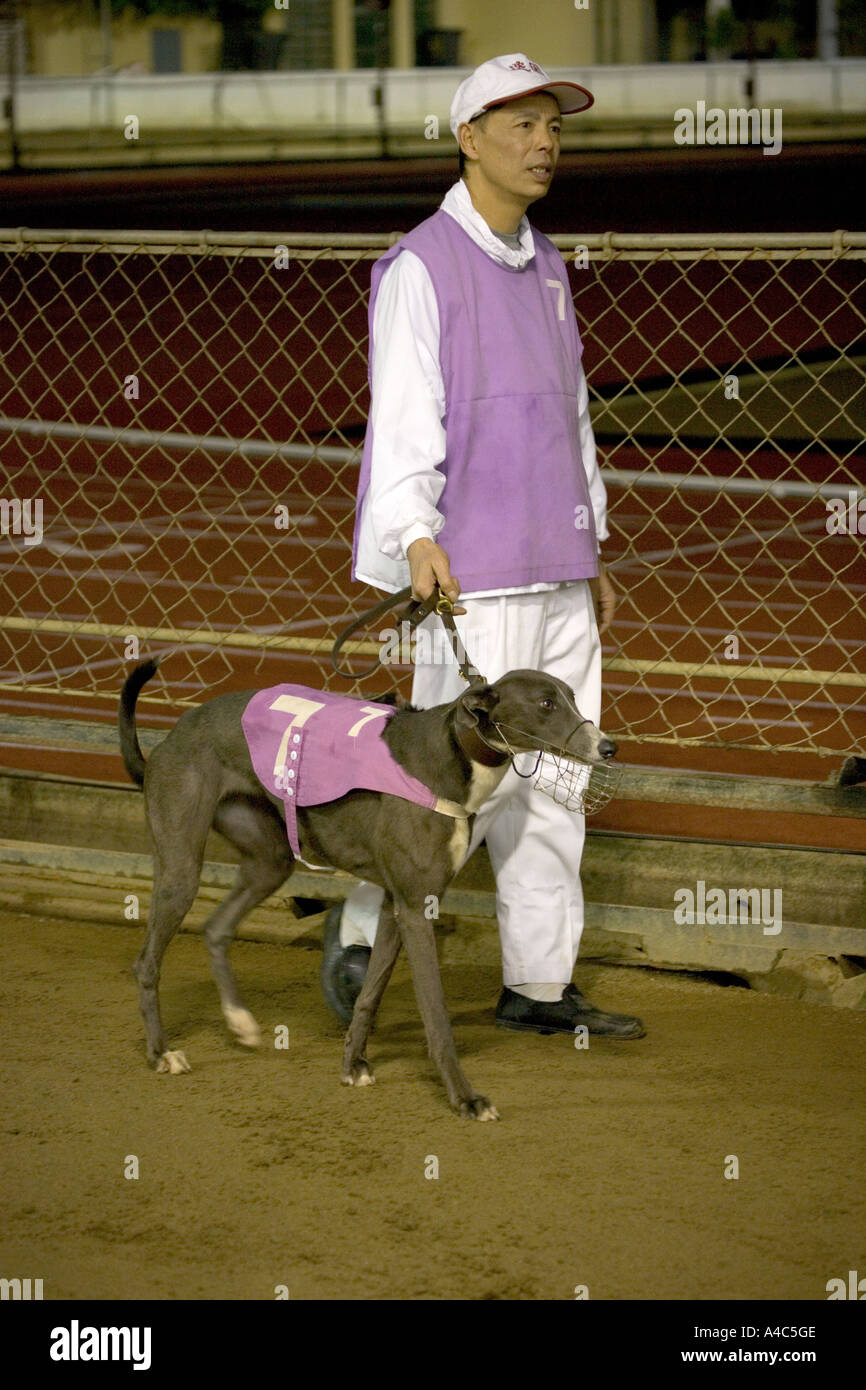 Macau race track hi-res stock photography and images - Alamy