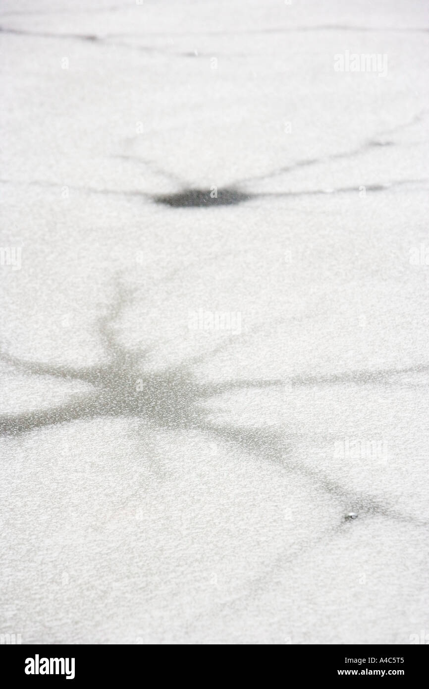 Snow on Ice Stock Photo - Alamy