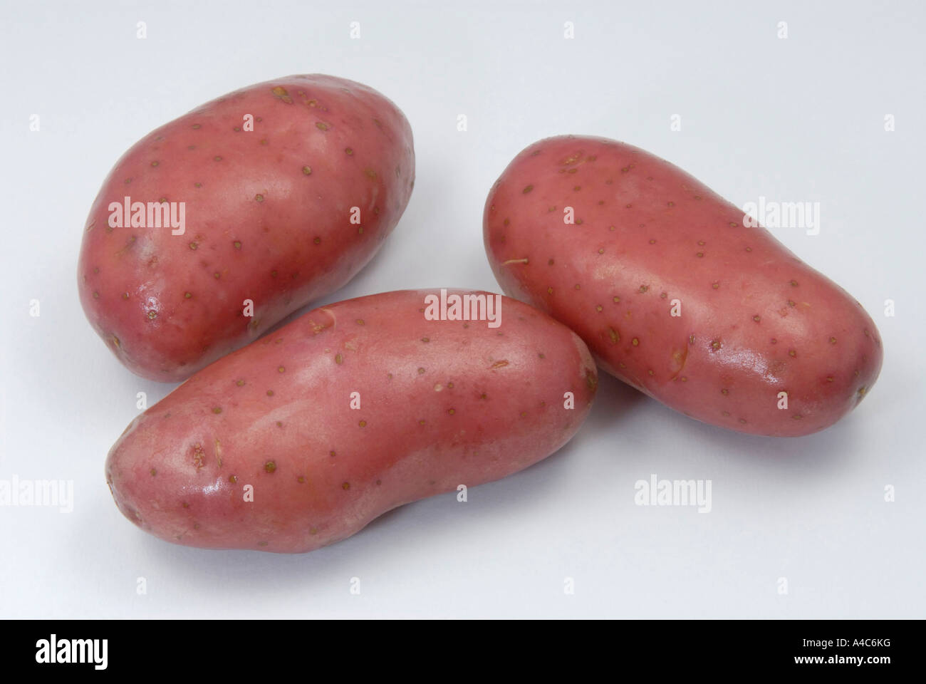 Cherie potato hi-res stock photography and images - Alamy
