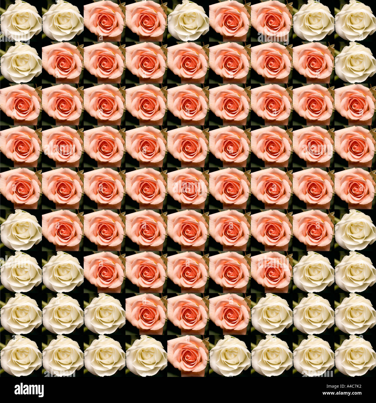 Heart of Roses Stock Photo - Alamy