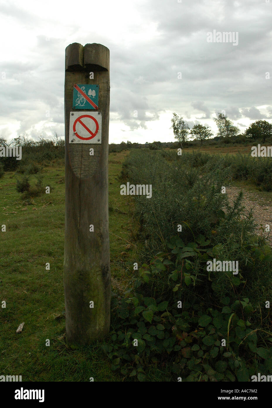Wooden sign post by a forest path Stock Photo - Alamy