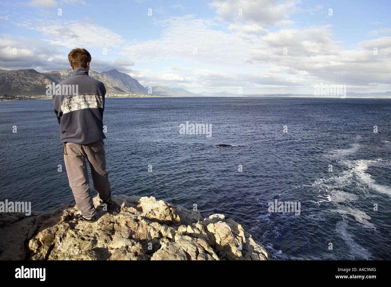 man watching whale Stock Photo - Alamy
