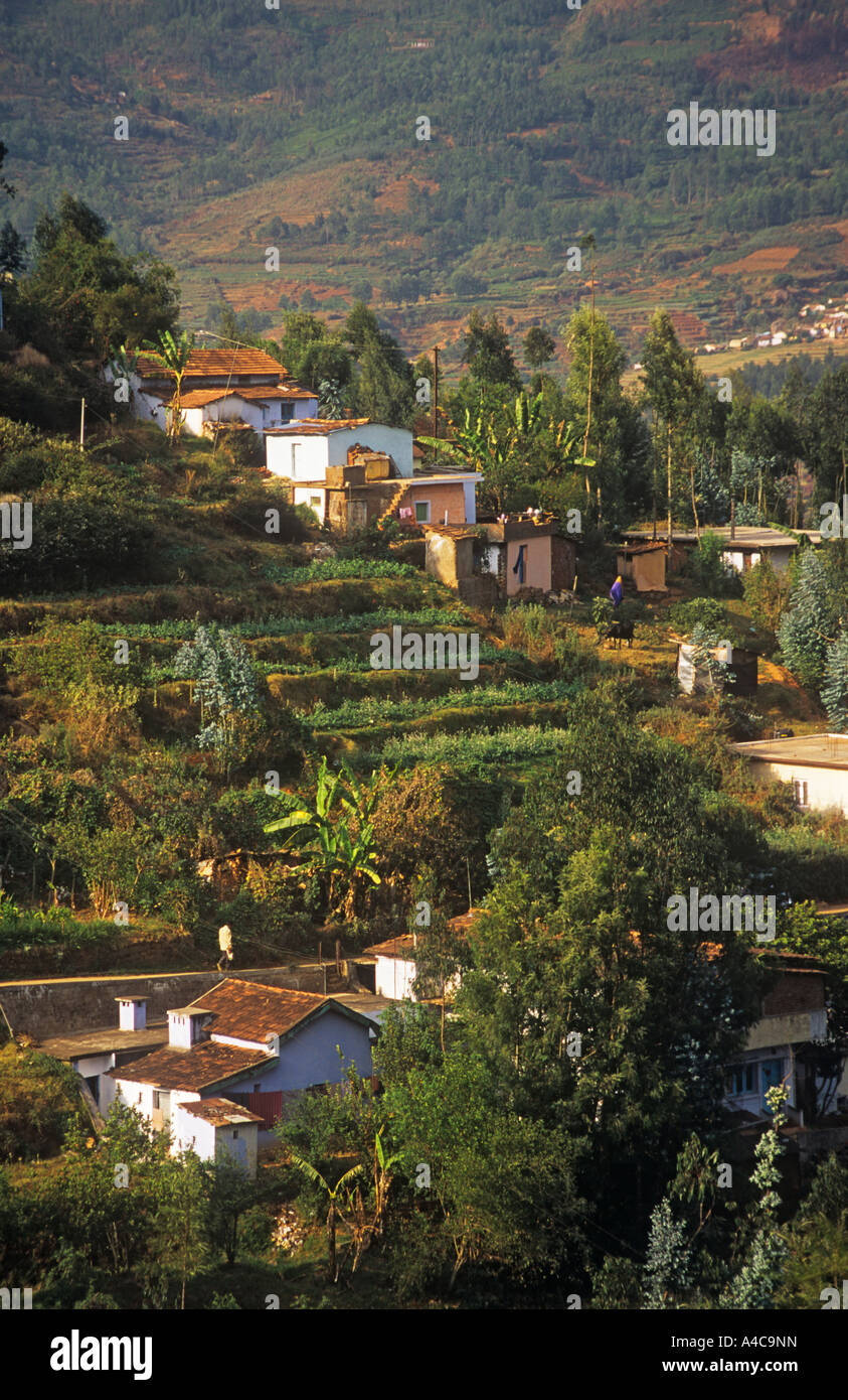 Niligiri hills hi-res stock photography and images - Alamy