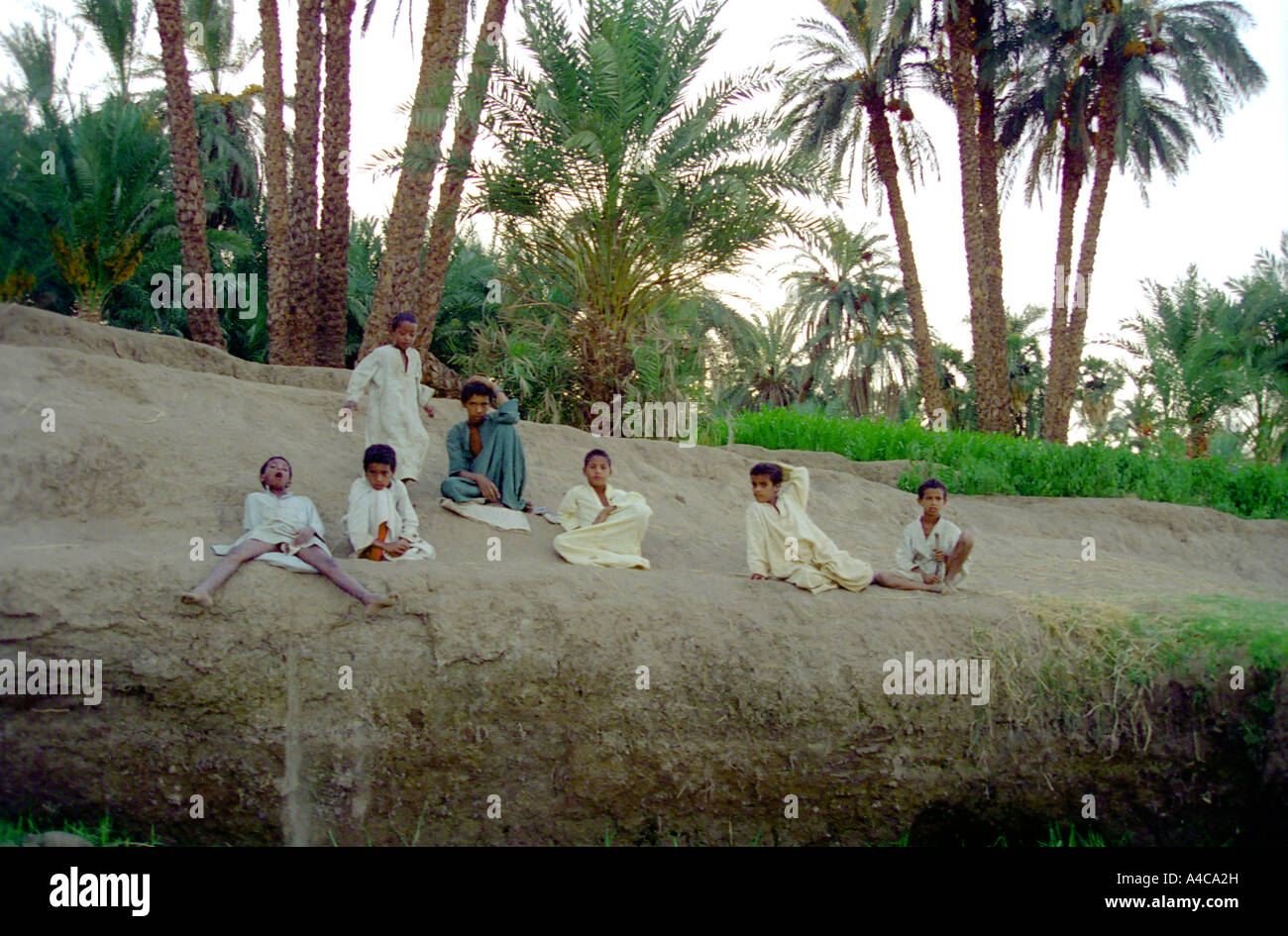 Local children at the bank of the river Nile in Aswan, Egypt Stock ...