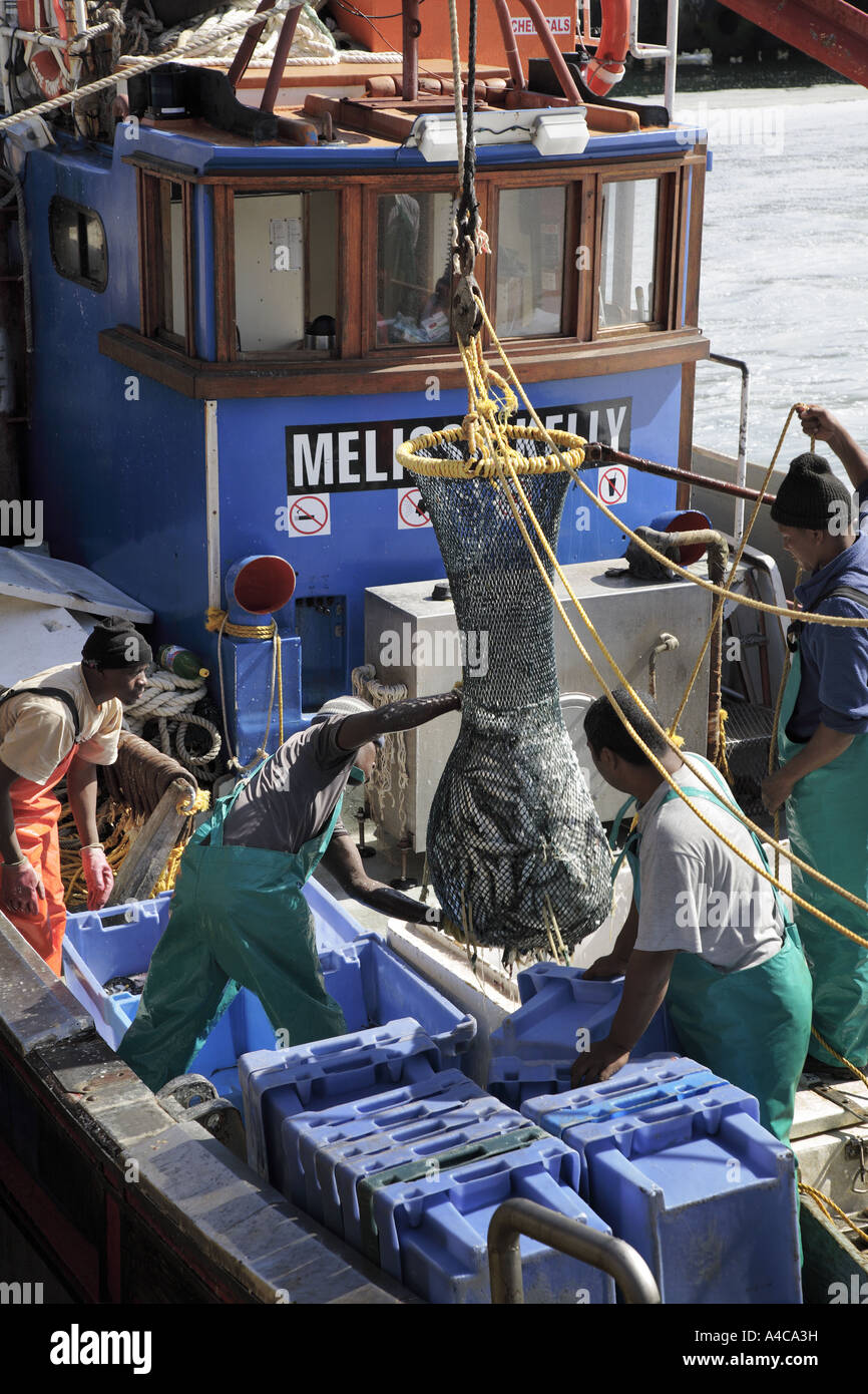 fishermen in Hermanus harbour South Africa Stock Photo - Alamy
