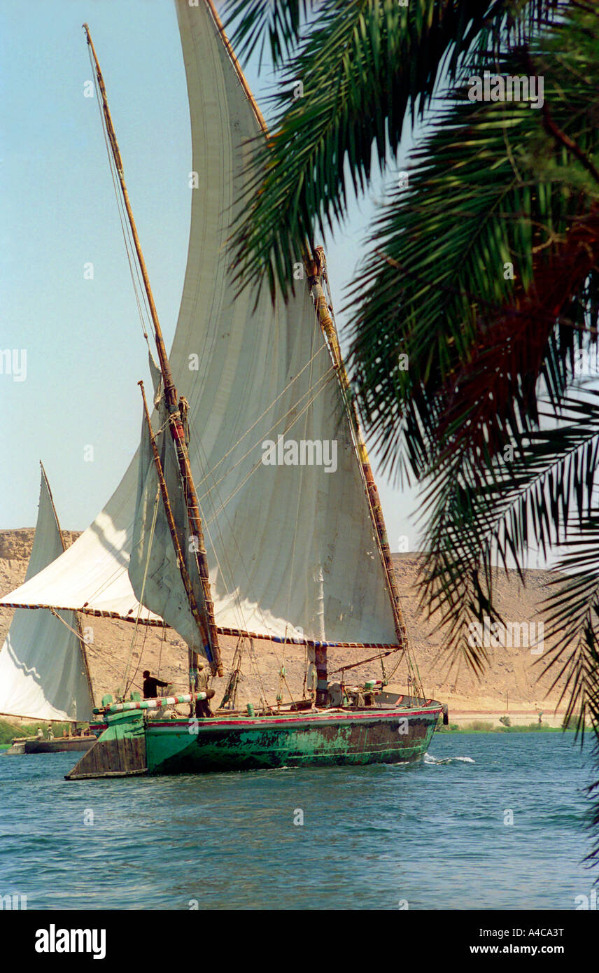 Felucca captain aswan egypt hi-res stock photography and images - Alamy