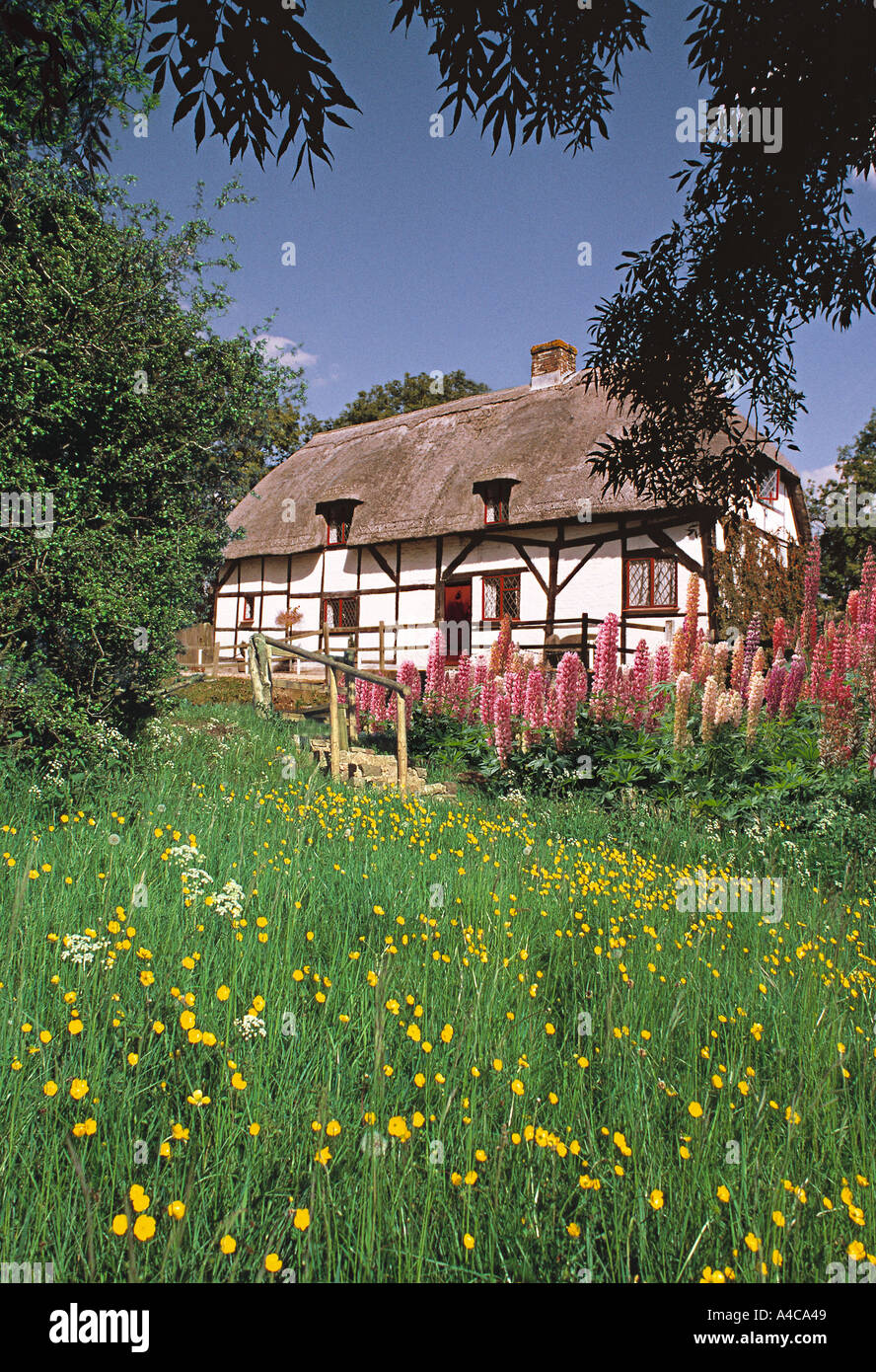 THATCHED COTTAGE IN COUNTRY GARDEN ENGLAND Stock Photo - Alamy