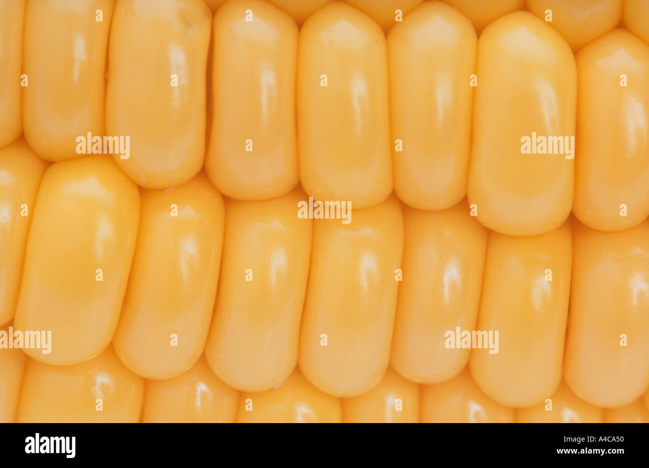 Sweet corn kernels close-up Stock Photo - Alamy