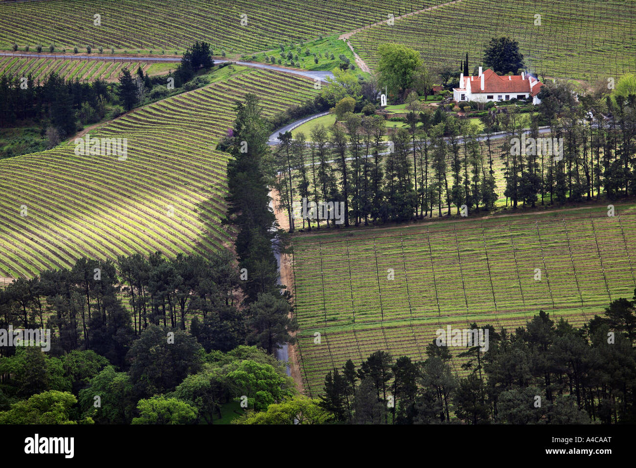 Franschhoek Valley vineyards in South Africa Stock Photo - Alamy