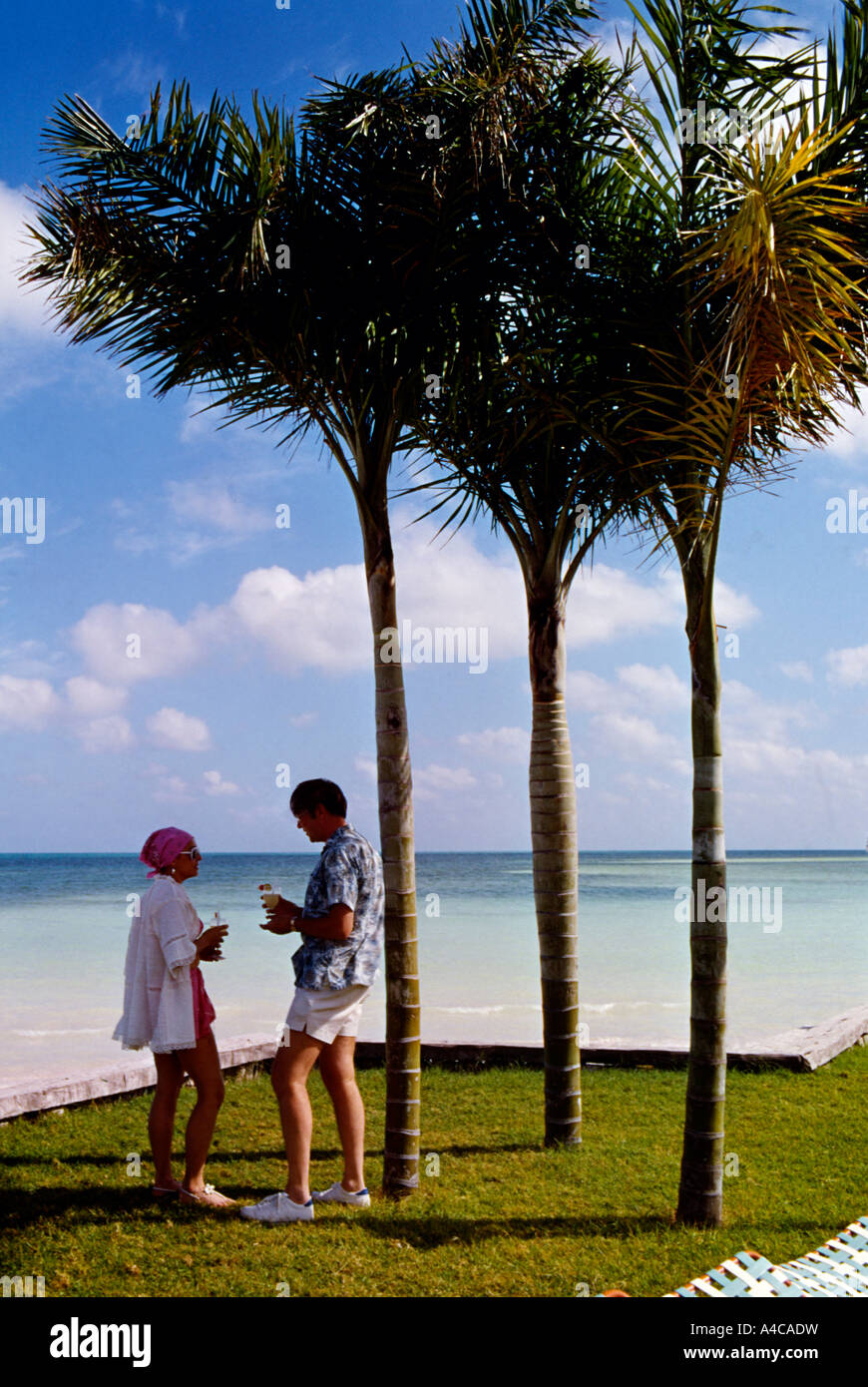 Young couple having a tropical drink under palm trees at Cancun resort ...