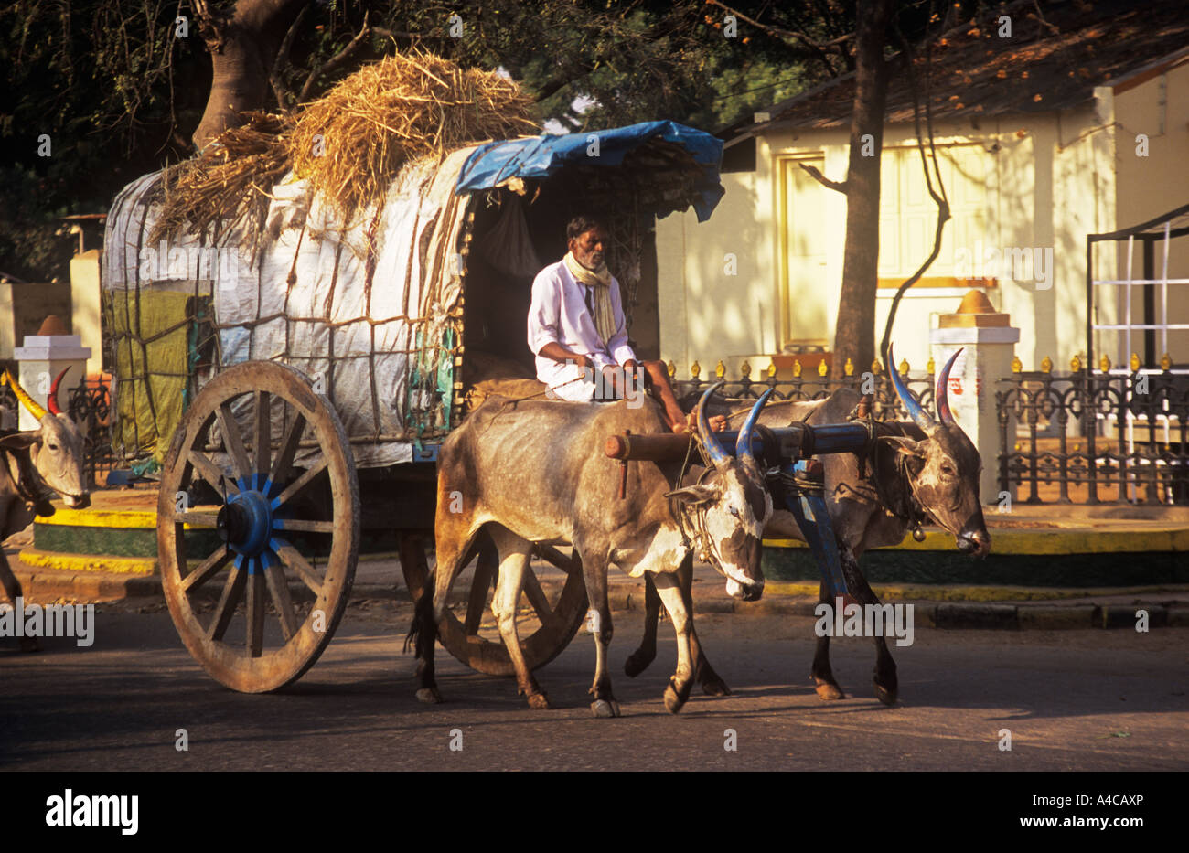 Bullock cart india hi-res stock photography and images - Alamy