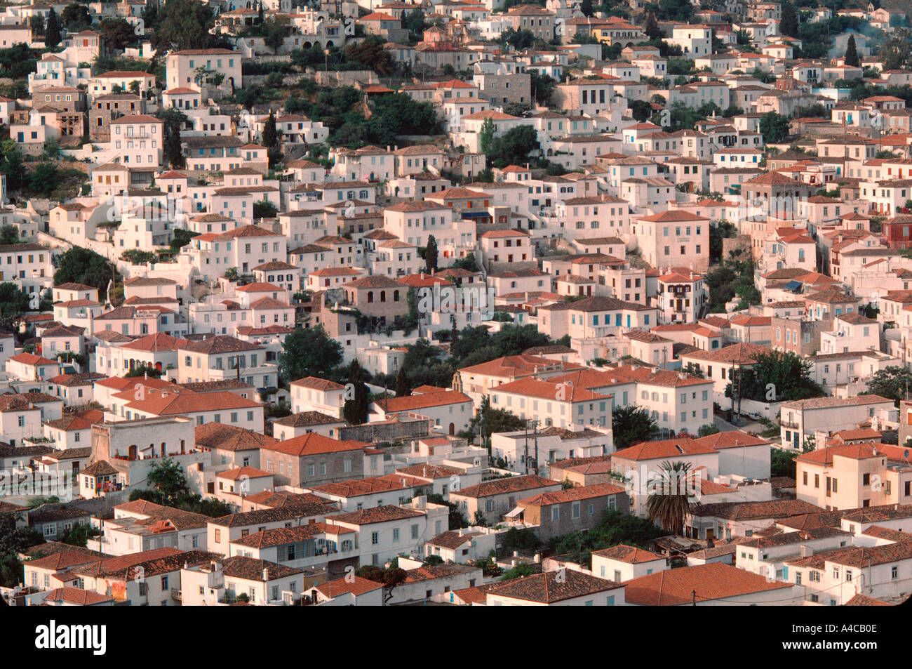 White hydra hi-res stock photography and images - Alamy