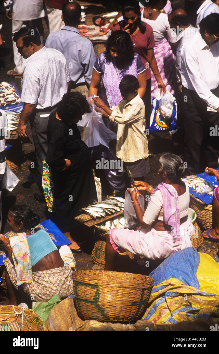 Fish Market Margao Goa India Stock Photo - Alamy