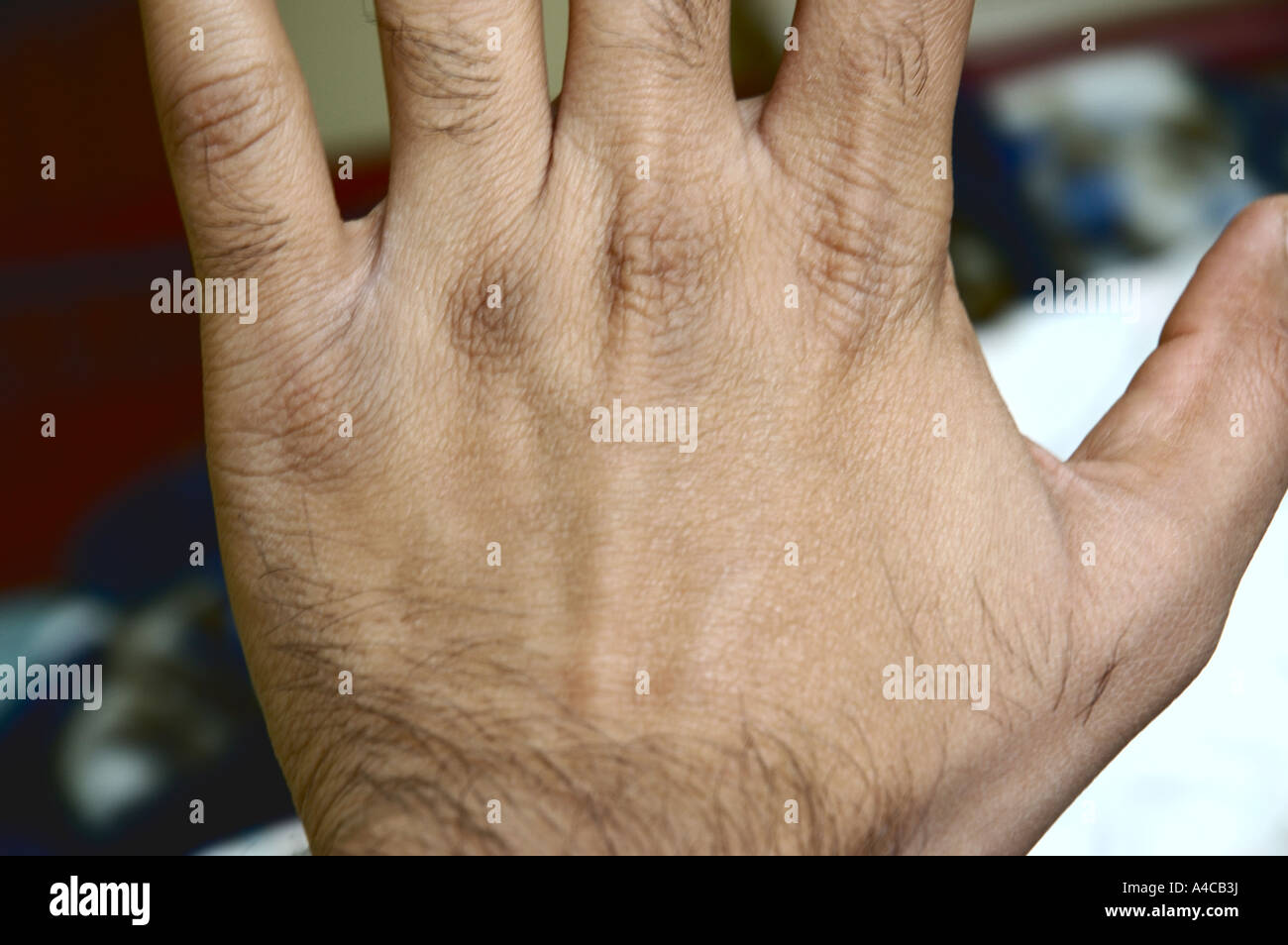 back of hand Stock Photo - Alamy