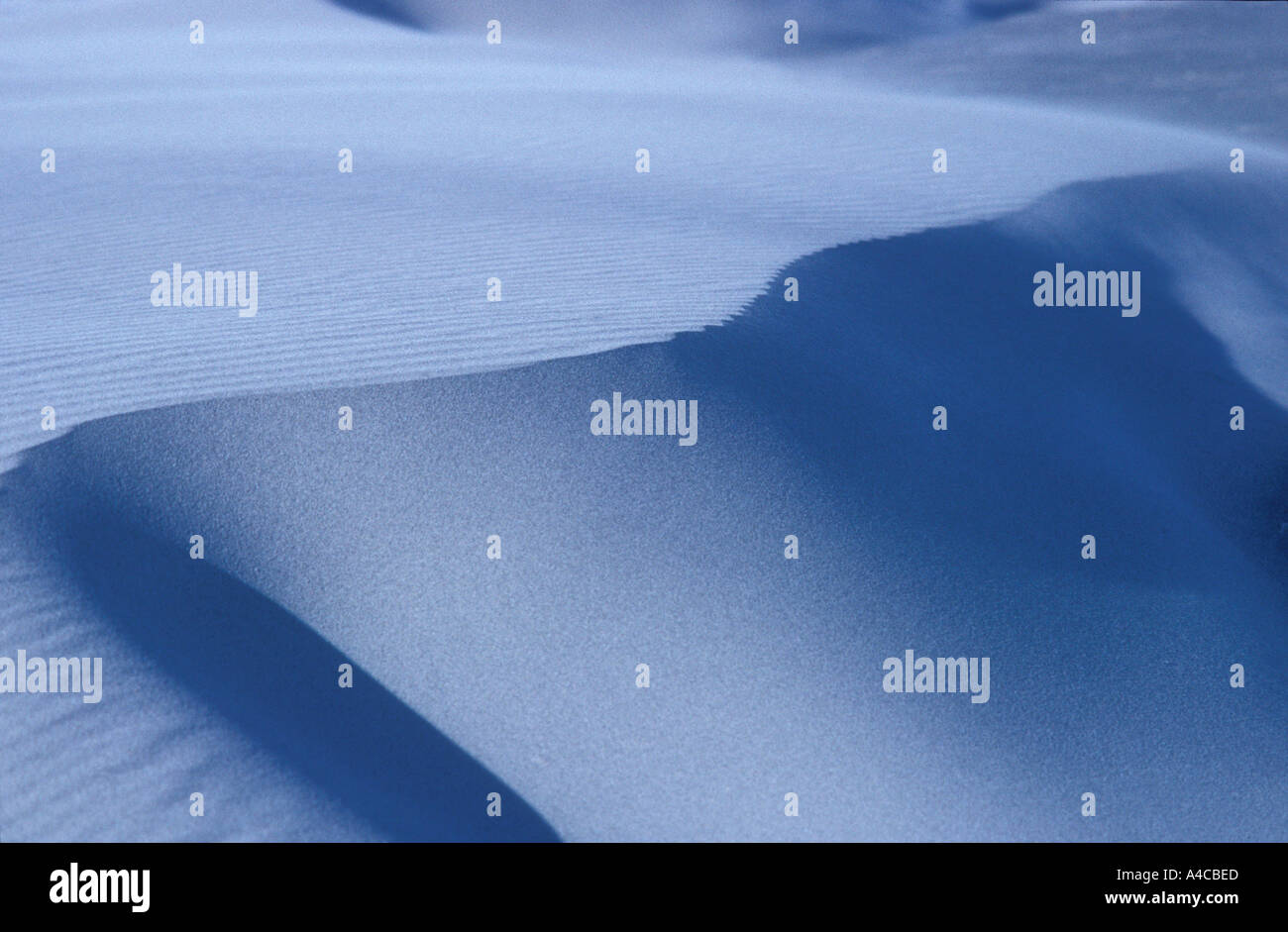 Blown blowing hi-res stock photography and images - Alamy