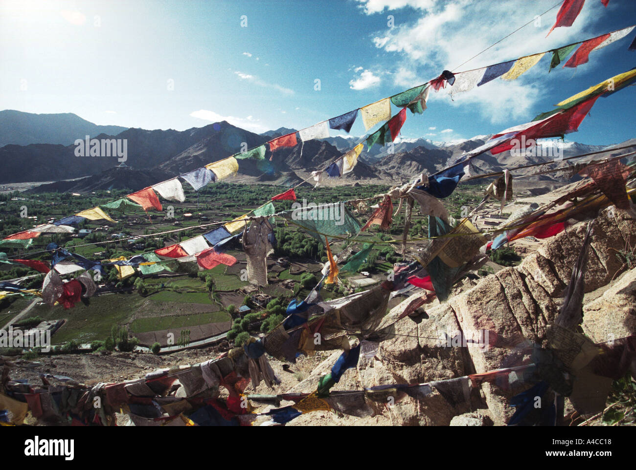 Prayer flags in Ladakh Stock Photo - Alamy