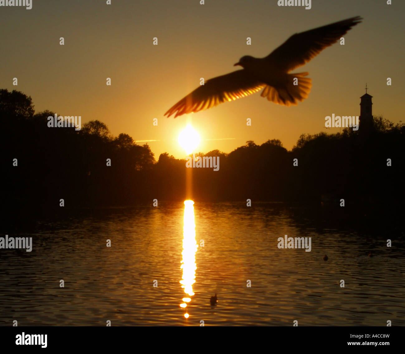 East soar walk hi-res stock photography and images - Alamy