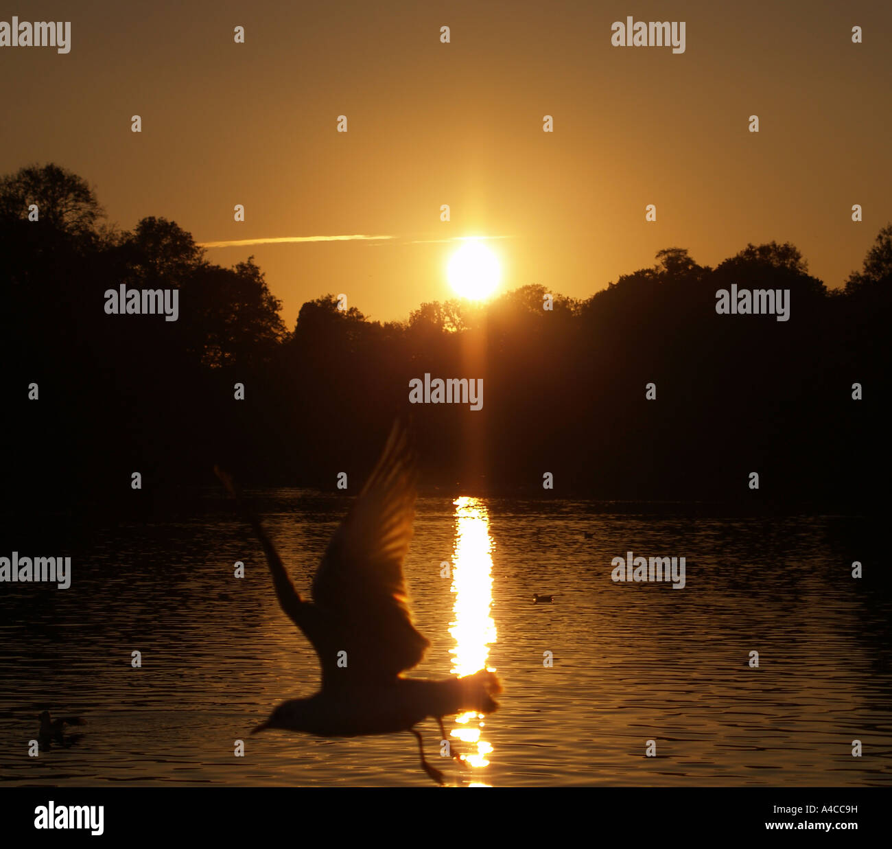 East soar walk hi-res stock photography and images - Alamy